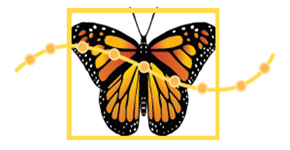 FireMonkey Quick Start Guide - Using Image and Animation Effects - RAD ...