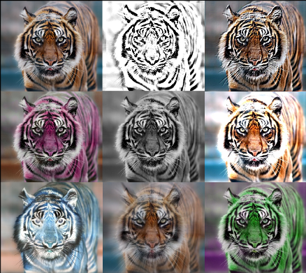FireMonkey Quick Start Guide - Using Image and Animation Effects - RAD ...